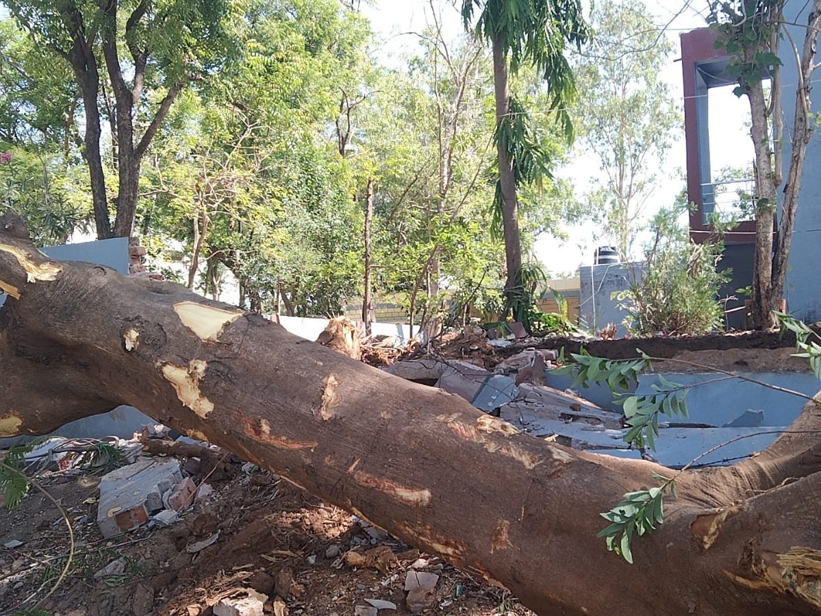 Damage caused by falling trees in front of Ambaji North Range Forest ...