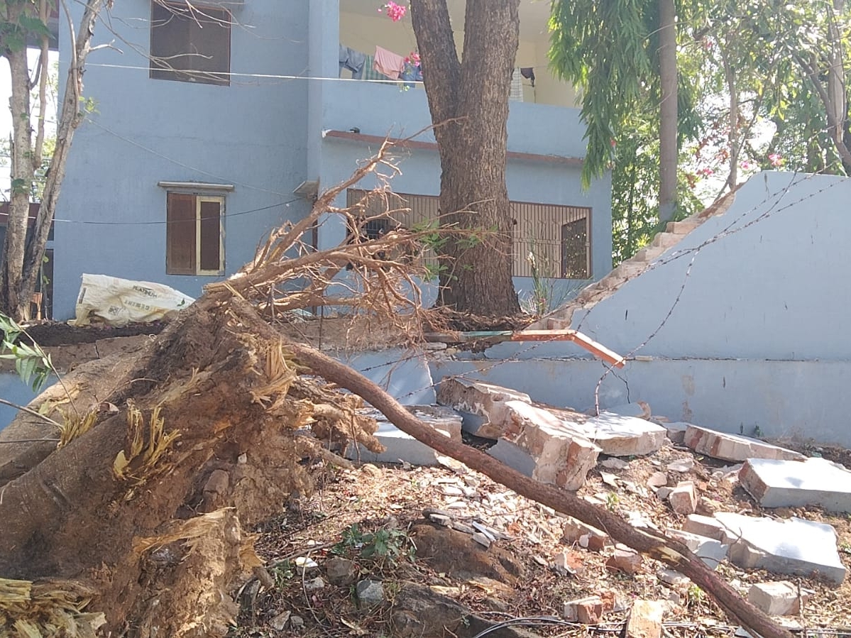 Damage caused by falling trees in front of Ambaji North Range Forest ...