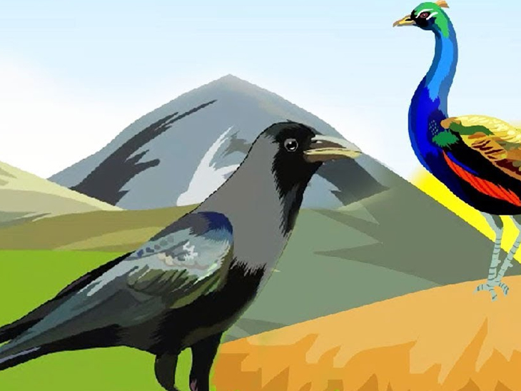 The crow walks, the peacock walks, the crow robs the peacock's goods
