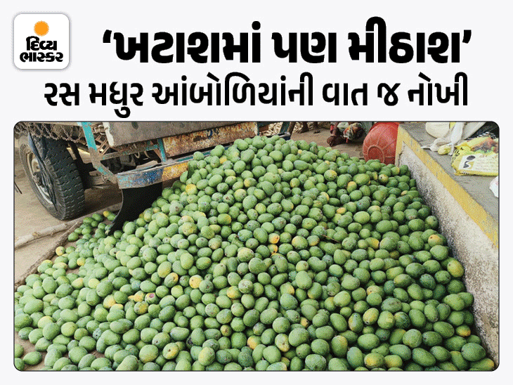 આંબે લટકતી કેરીથી લઈને માર્કેટમાં પહોંચવા સુધીની સ્ટેપ ટુ સ્ટેપ પ્રોસેસ ...