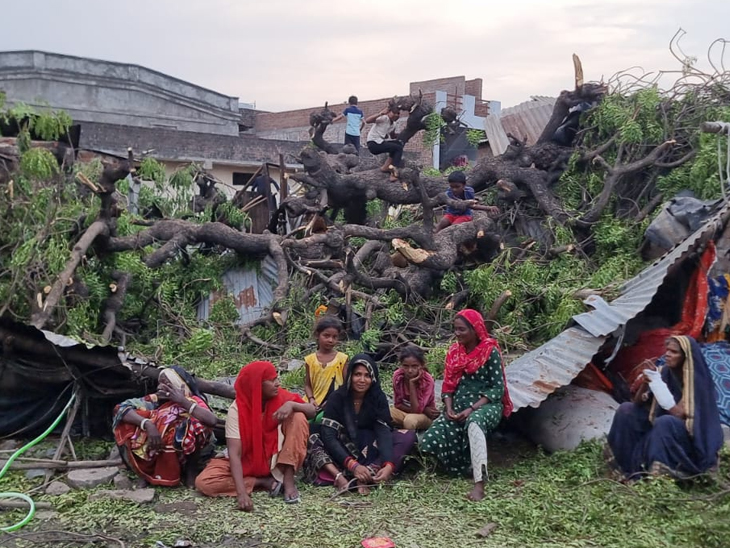 People were crushed when a tree fell on a house on Station Road in ...