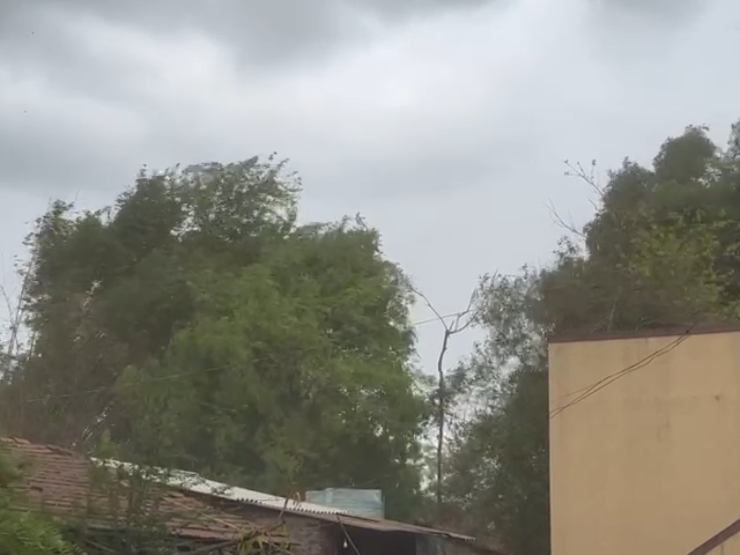 Navsari's atmosphere turned, dust motes were blown by heavy winds ...