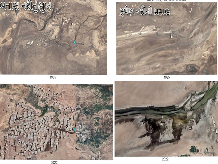 Agar pressure rampage in small desert of Kutch, Ghudkhar sanctuary ...