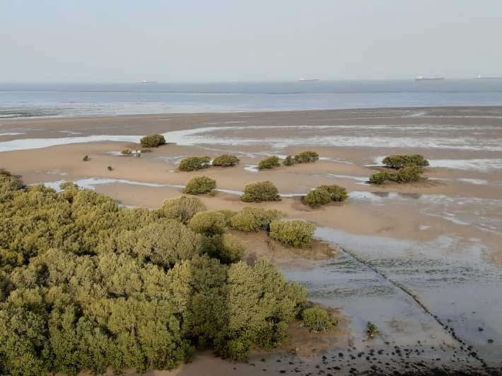 The Marine National Park at Jamnagar is dedicated to the importance ...