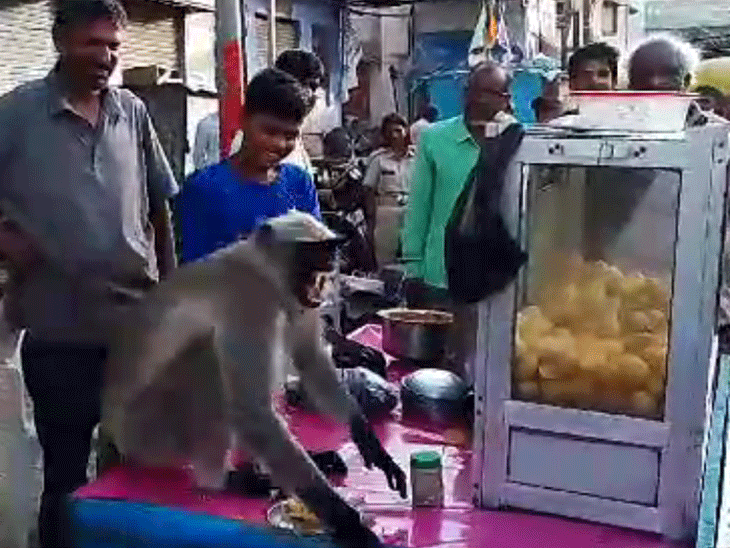 At Tankara, Kapiraj relished panipuri, and people thronged to witness ...