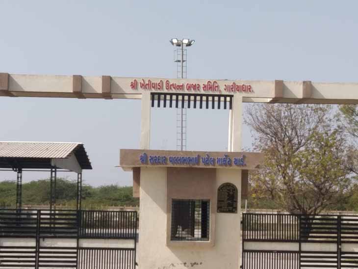 Gariadhar yard unused for 31 years | અધુરો વિકાસ: 31 વર્ષે પણ ગારિયાધાર ...