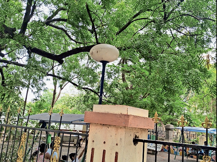 Despite the closure of gardens in Jamnagar, people reached inside by ...