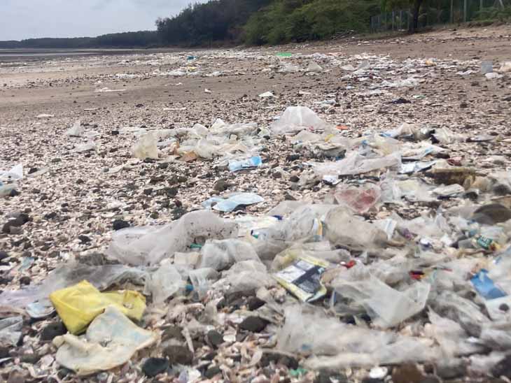 Sheets of plastic waste spread on Umargam beach | ભરતીના પાણી સાથે ...