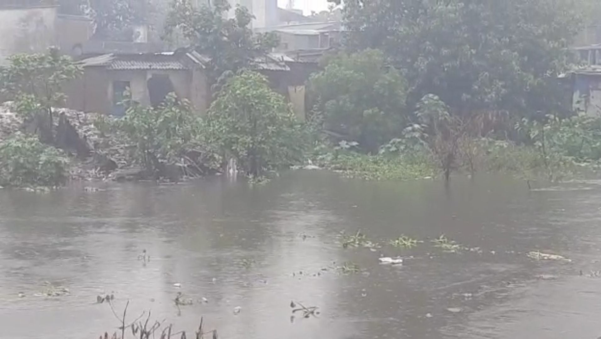 Rise in surface of Suratma creeks, two creeks dangerously close, 22 trees fell in 3 days | ભારે ...