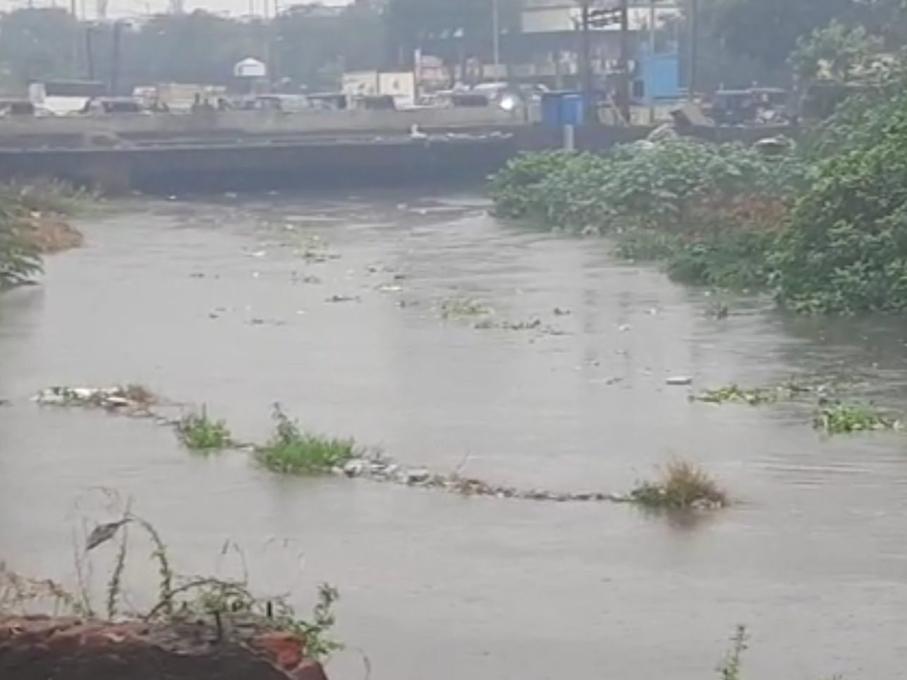 Rise in surface of Suratma creeks, two creeks dangerously close, 22 trees fell in 3 days | ભારે ...