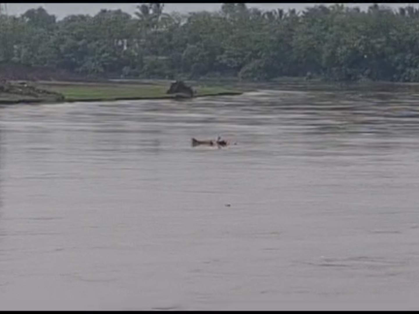 Navsari drowned in Poorna river, fire brigade team recovers body from ...