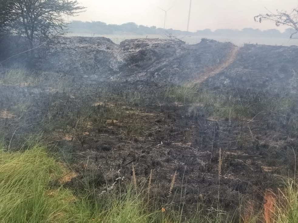 A fire on the outskirts of Lakhpat's Guneri village burnt grass and ...