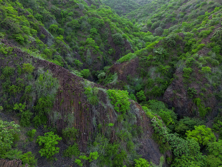Nature blossomed after the rains on the Dhinodhar hills of Kutch, an ...