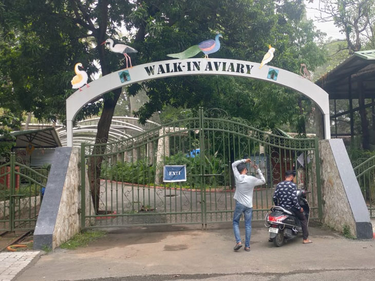 At Vadodara Zoo, the walk-in aviary for domestic and foreign birds has been arranged to sit at a ...