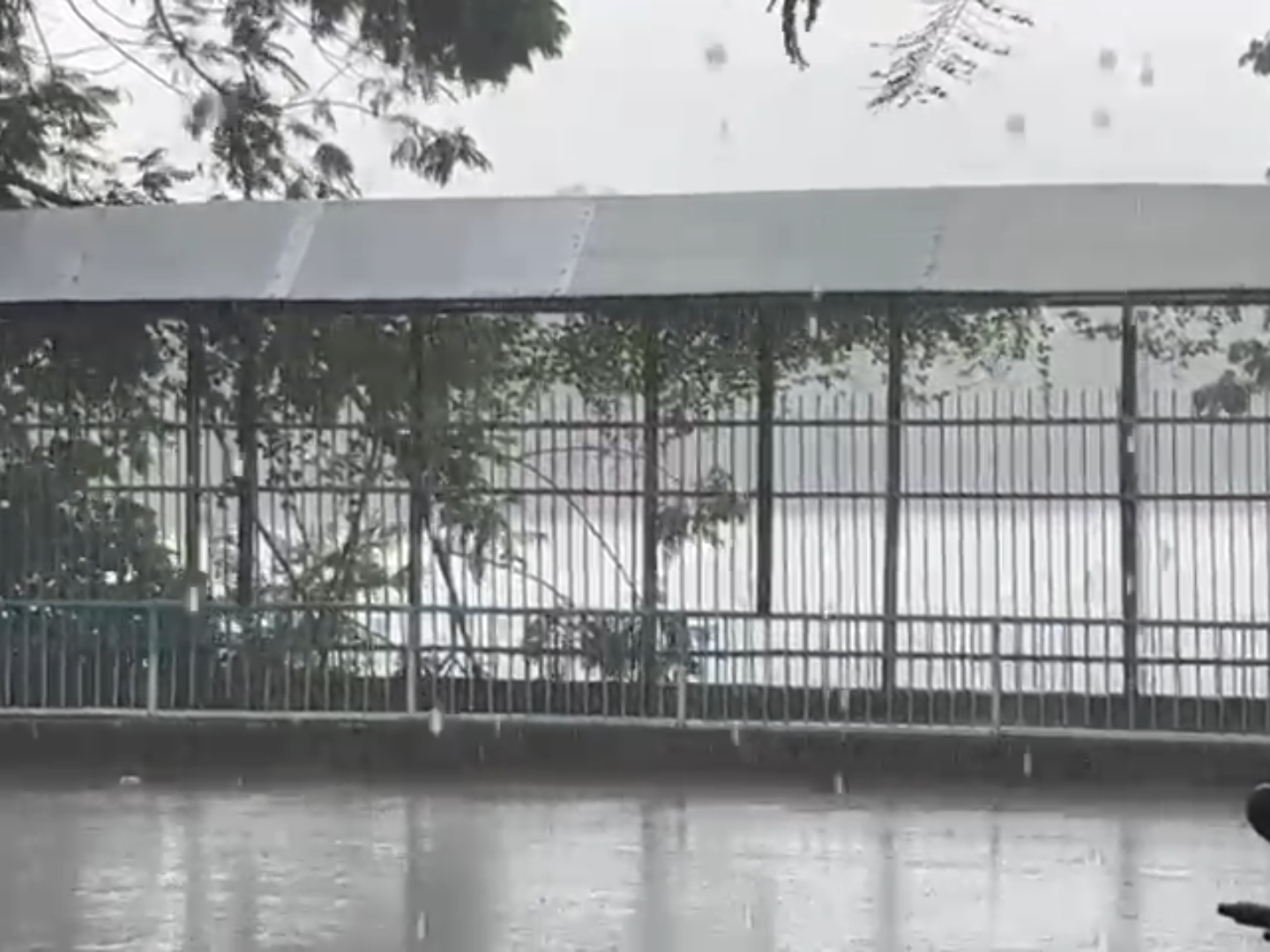 Rainy weather in Navsari and Jalalpore talukas since early morning ...