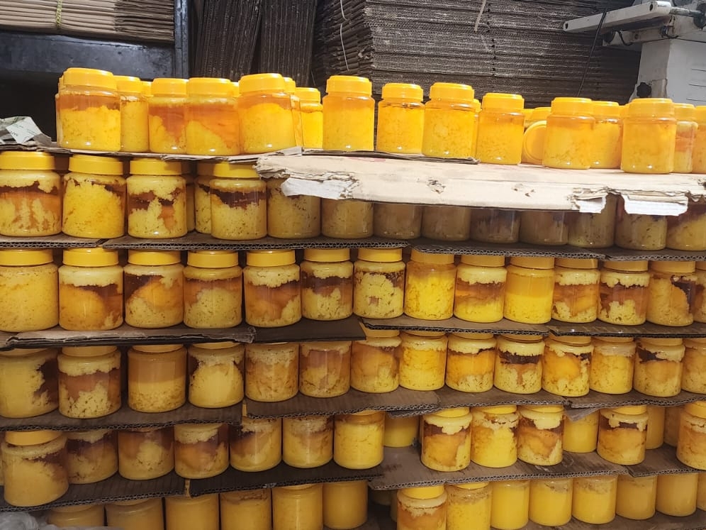 Suspected ghee factory of Gir cow seized from Isanpore village of ...