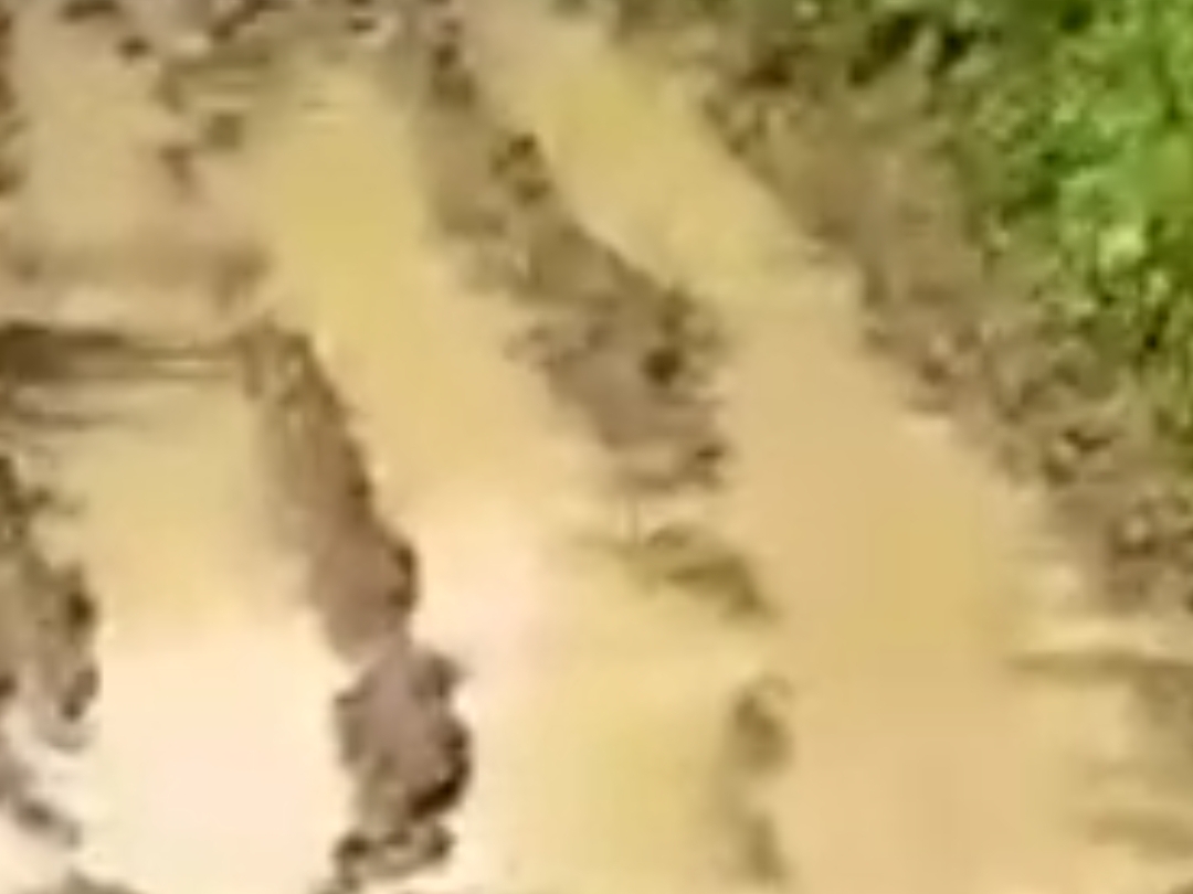 Alva village of Tilakwada has caused a lot of resentment among the ...