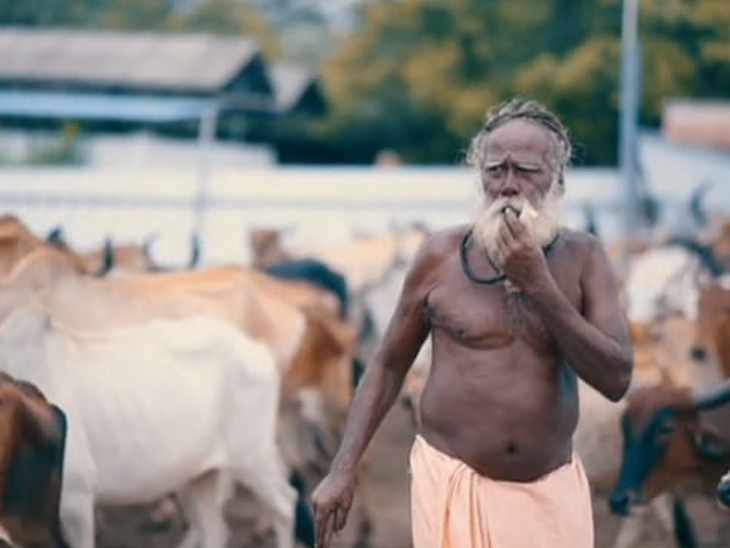 Service of 5000 cows at Odawali Khodiyar Ashram | ઓડાવાળી ખોડિયાર ...