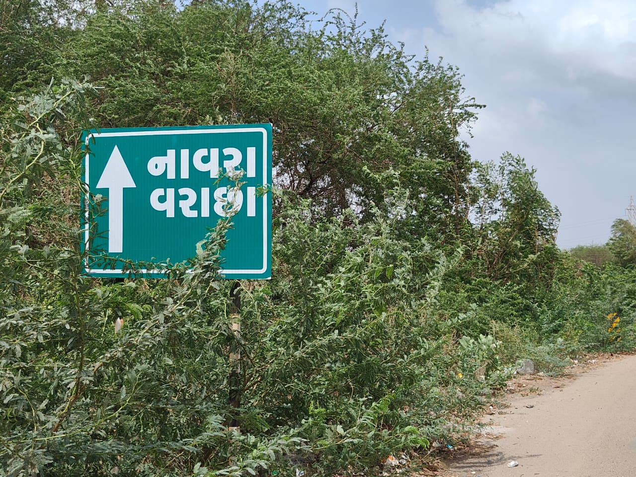 Bharuch MP Mansukh Vasava inspected the newly constructed Asha-Malsar ...