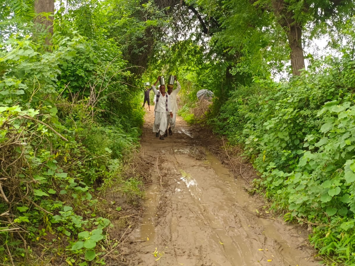 People of Disa's Kanjara village forced to walk in mud; No action on ...