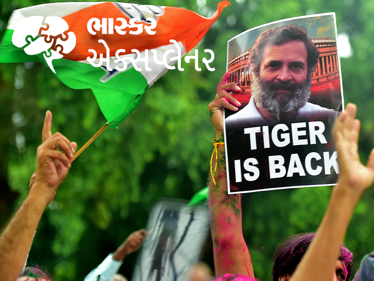 The Congress was unnecessarily excited that the BJP actually suffered