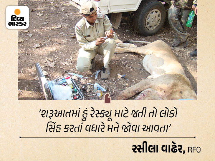 Gujarat's first woman forest officer Rasila Vadher | 1100 જંગલી ...