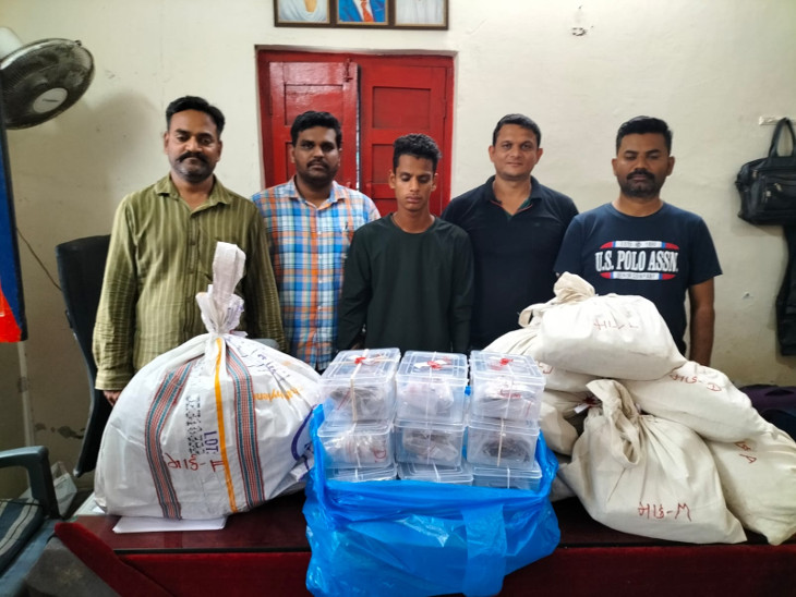 One of the four who arrived in Surat in a train carrying 33 kg of ganja ...