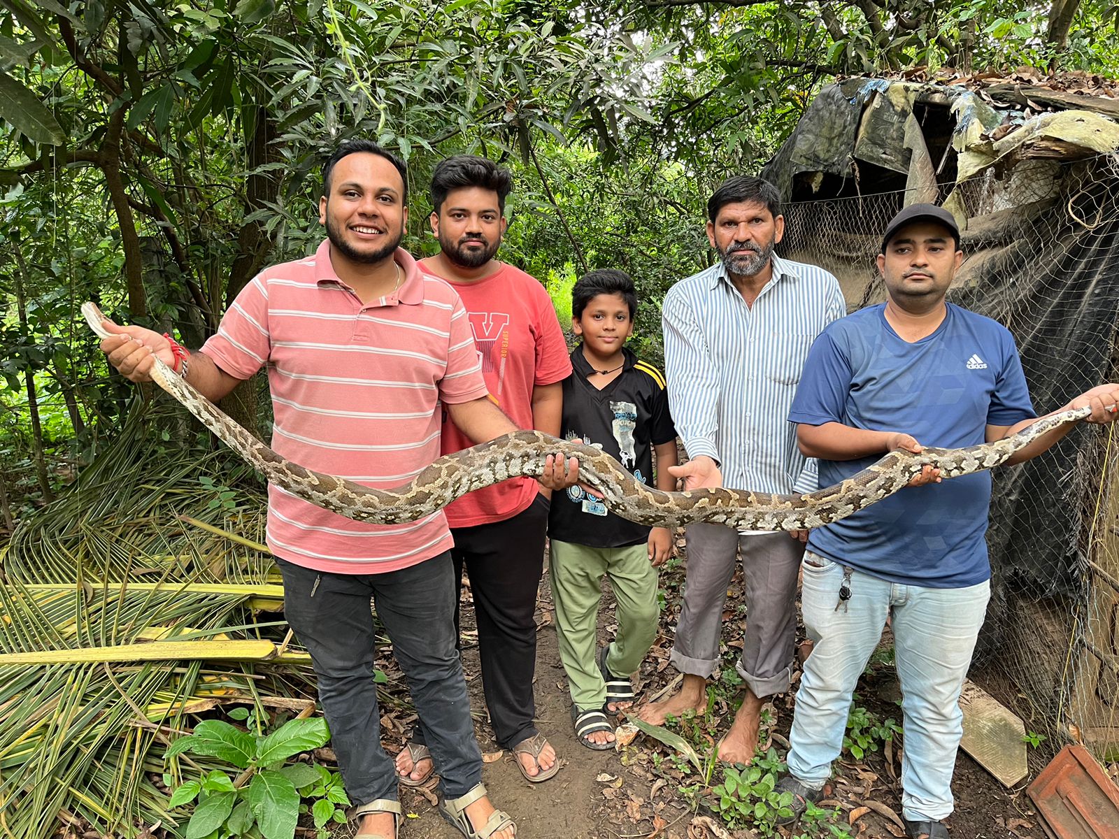 A python trapped in a trap was rescued near a poultry farm in Umarsadi ...
