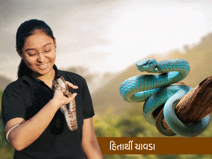 'I've never been afraid of snakes!' | 'મને ક્યારેય સાપથી ડર લાગ્યો જ ...
