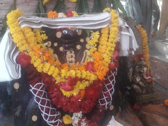 Naga Panchami celebrations in Patan in a devout atmosphere, Goga ...