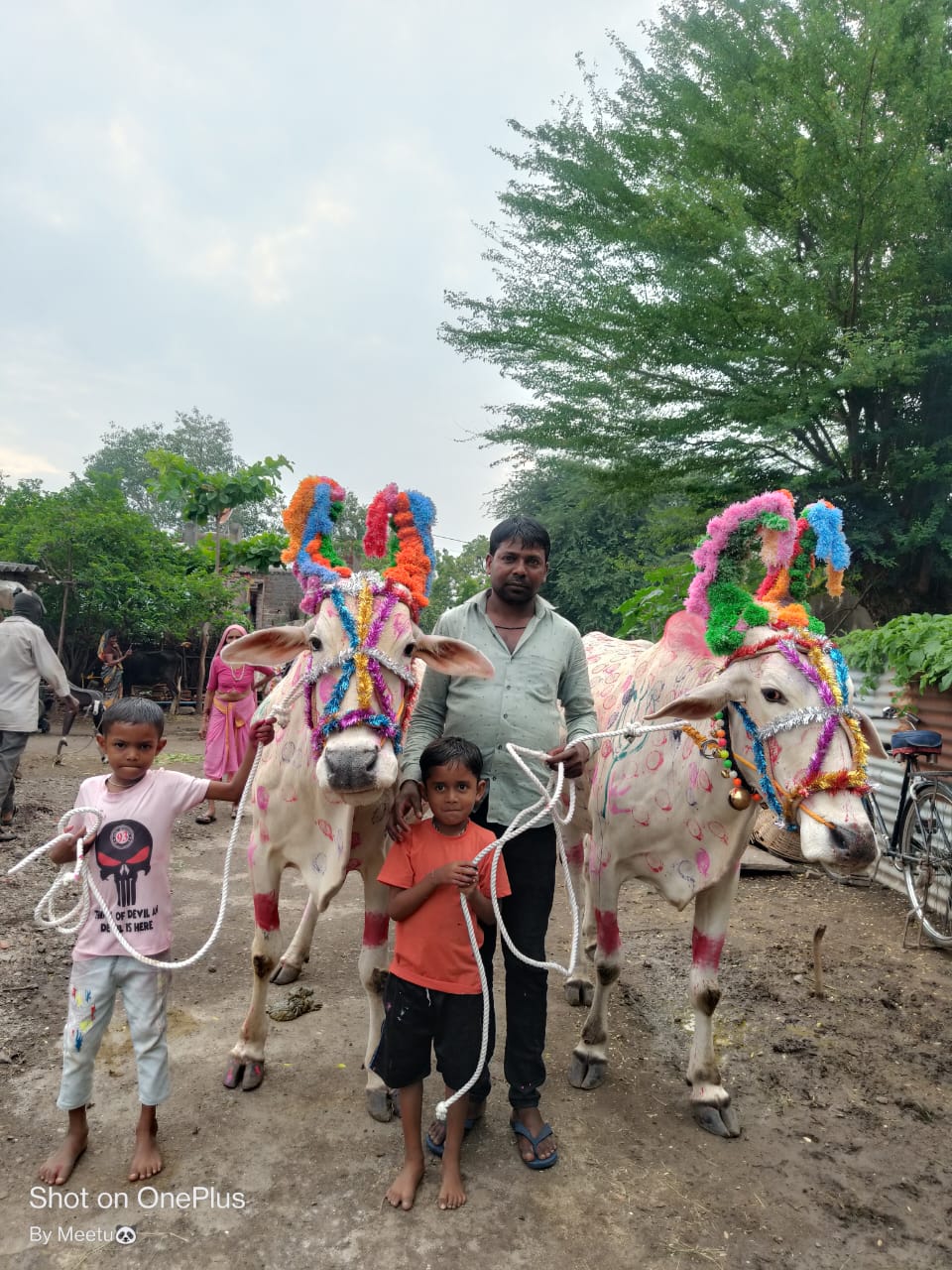 Celebration of Pola Parva in Surat-Tapi district | ઉજવણી: સુરત-તાપી ...