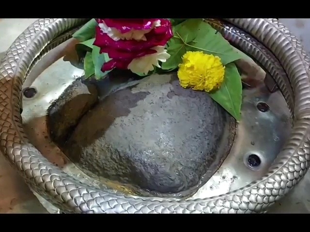 A 52-yard dhaja was offered at the Pandava Kalin Bhimnath Mahadev ...