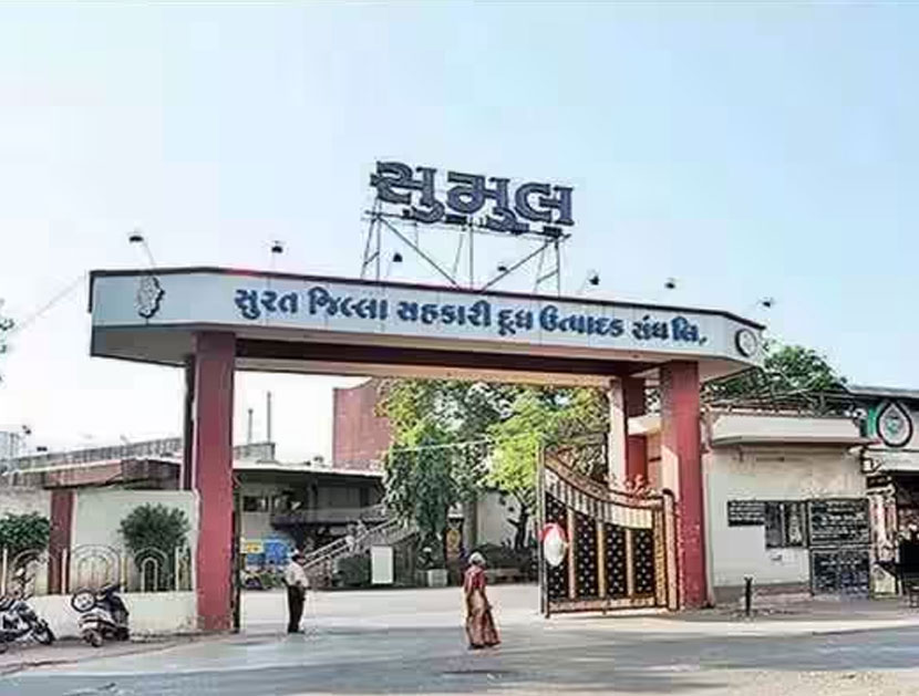 Sumul Dairy improved the Diwali of the cattle farmers | સુમુલ ડેરીએ ...