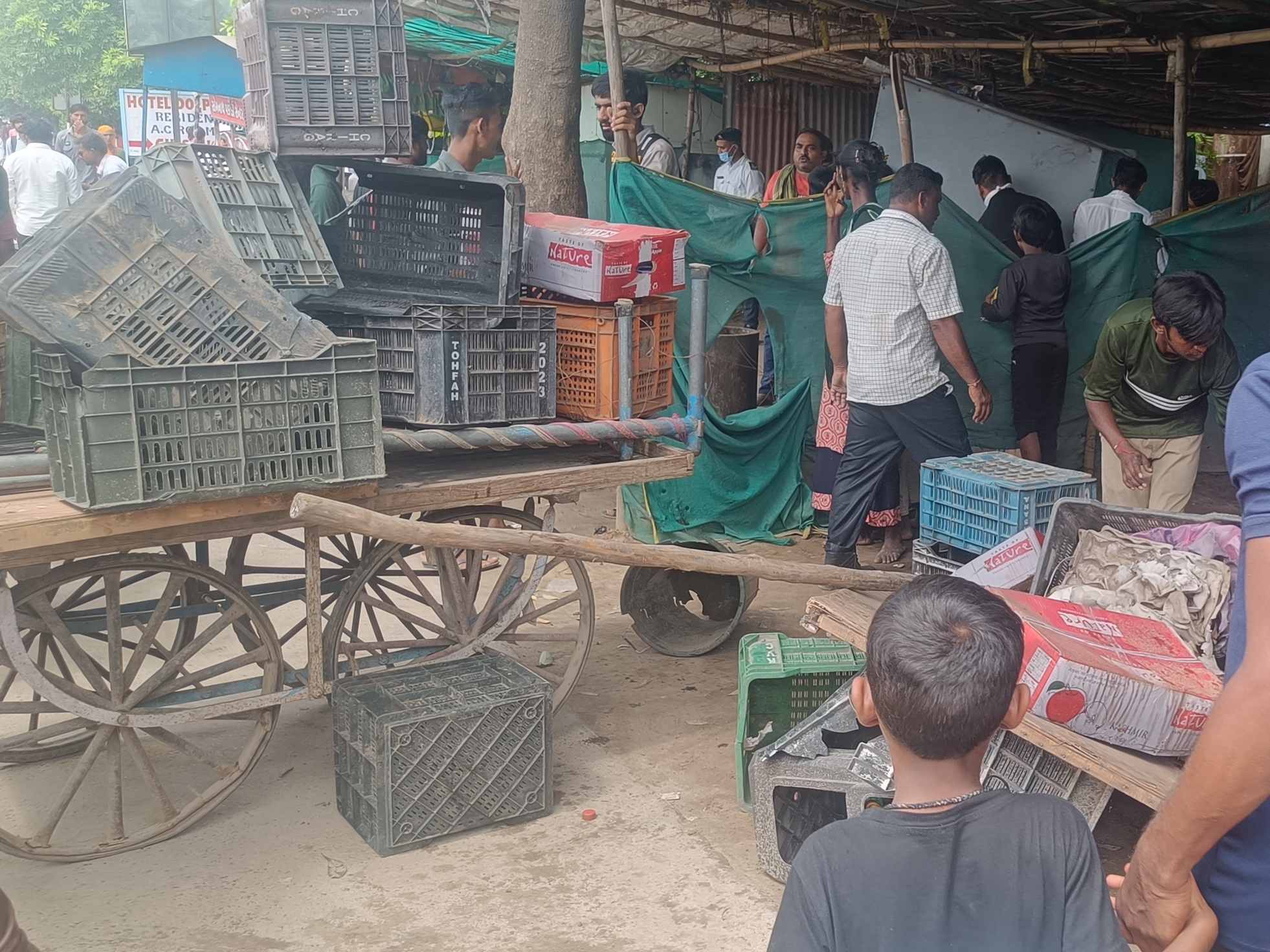 More than 30 pressures were removed by the municipality in the new bus ...