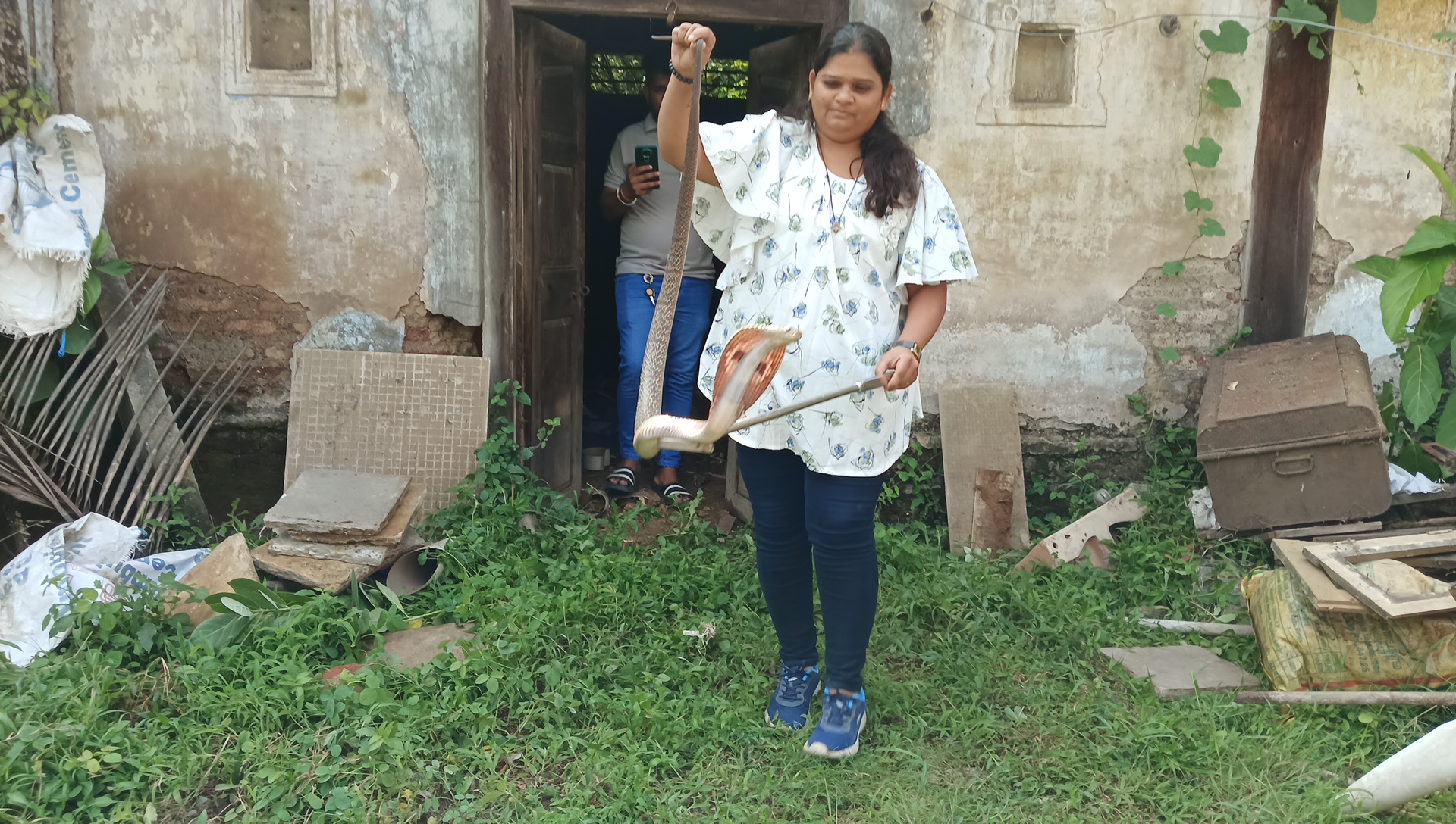 A five-and-a-half-foot-long cobra raced from Tigra | રેસક્યું: તીઘરાથી ...