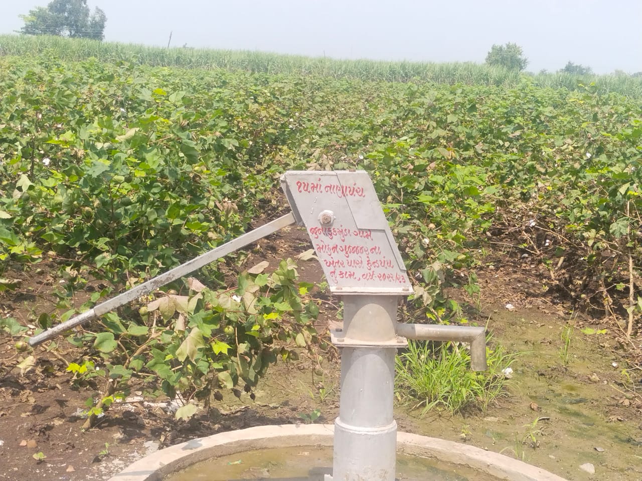 Facility of more than 10 head pumps for drinking water in Khetradi area ...