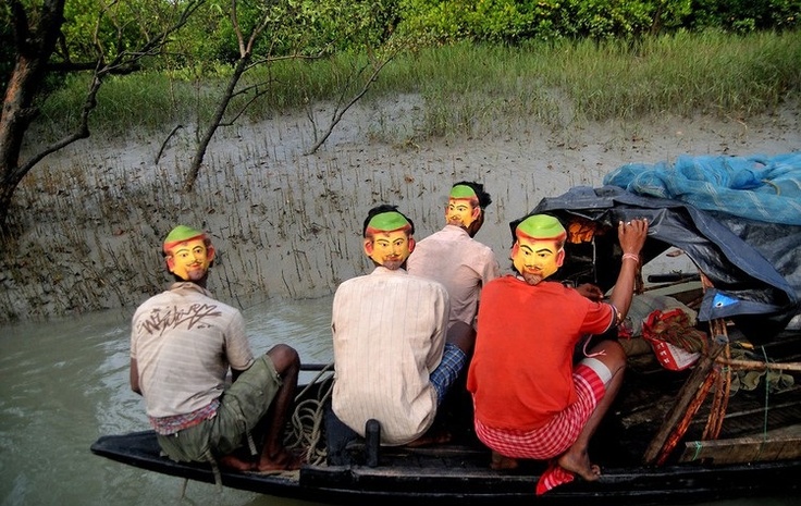 West Bengal's Sundarbans, an exhilarating jungle safari in the middle ...