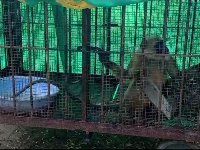 All the people breathed a sigh of relief after Kapiraj Panjar ...