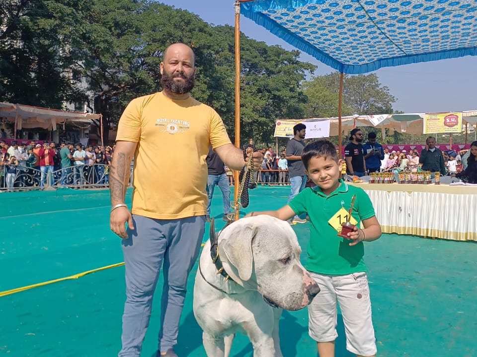 10th dog show held in Navsari city, more than 120 dogs of different ...