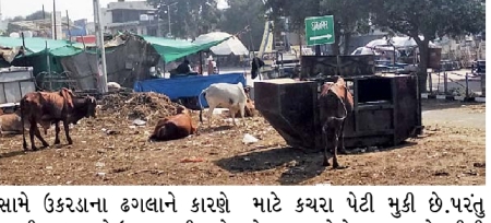 Mosquito infestation increased due to mosquito bites near Sardar Circle ...
