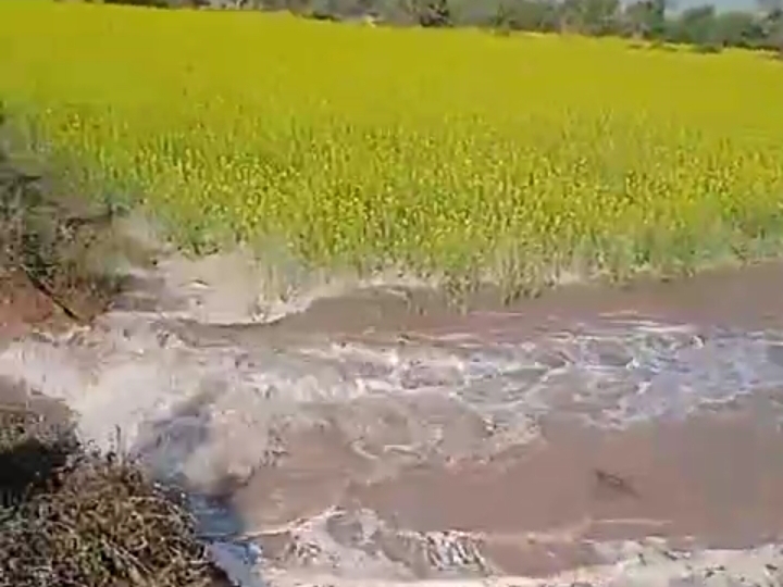 Gap in Narmada Canal in Vavna Raneshari village, loss of lakhs to ...