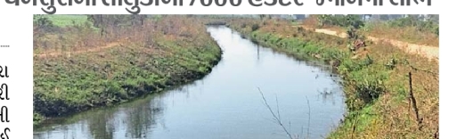 100 cusecs of water was released in the main canal on the left bank of ...