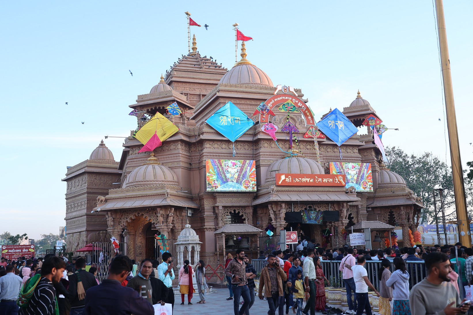 Under the divine cow worship of 108 cows, the organization of Gau Vamsa ...