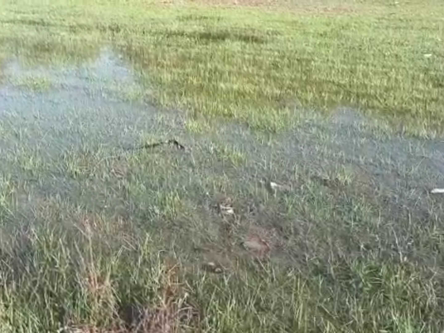 Canal overflow near Satun in Radhanpur and Singotaria in Sami ...