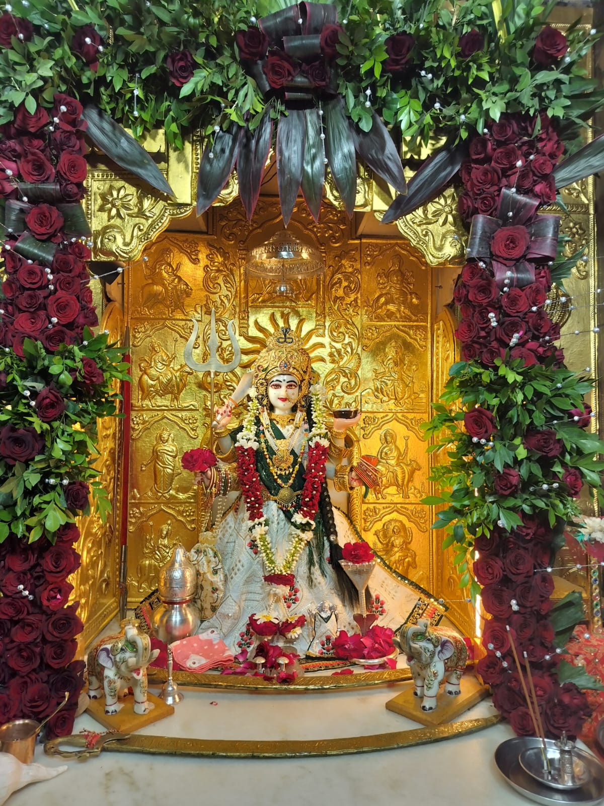 Patotsava and Navchandi Yajna of Naganeshwari Mana Temple in Pipli | ભાસ્કર વિશેષ: પીપળીમાં ...