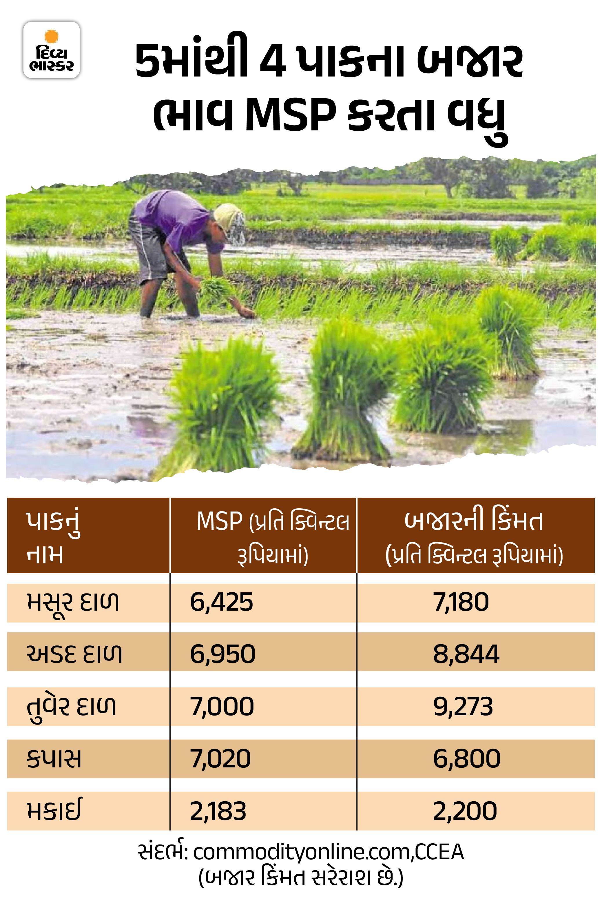 Bhaskar Explainer: Govt to buy 5 crops already covered by MSP