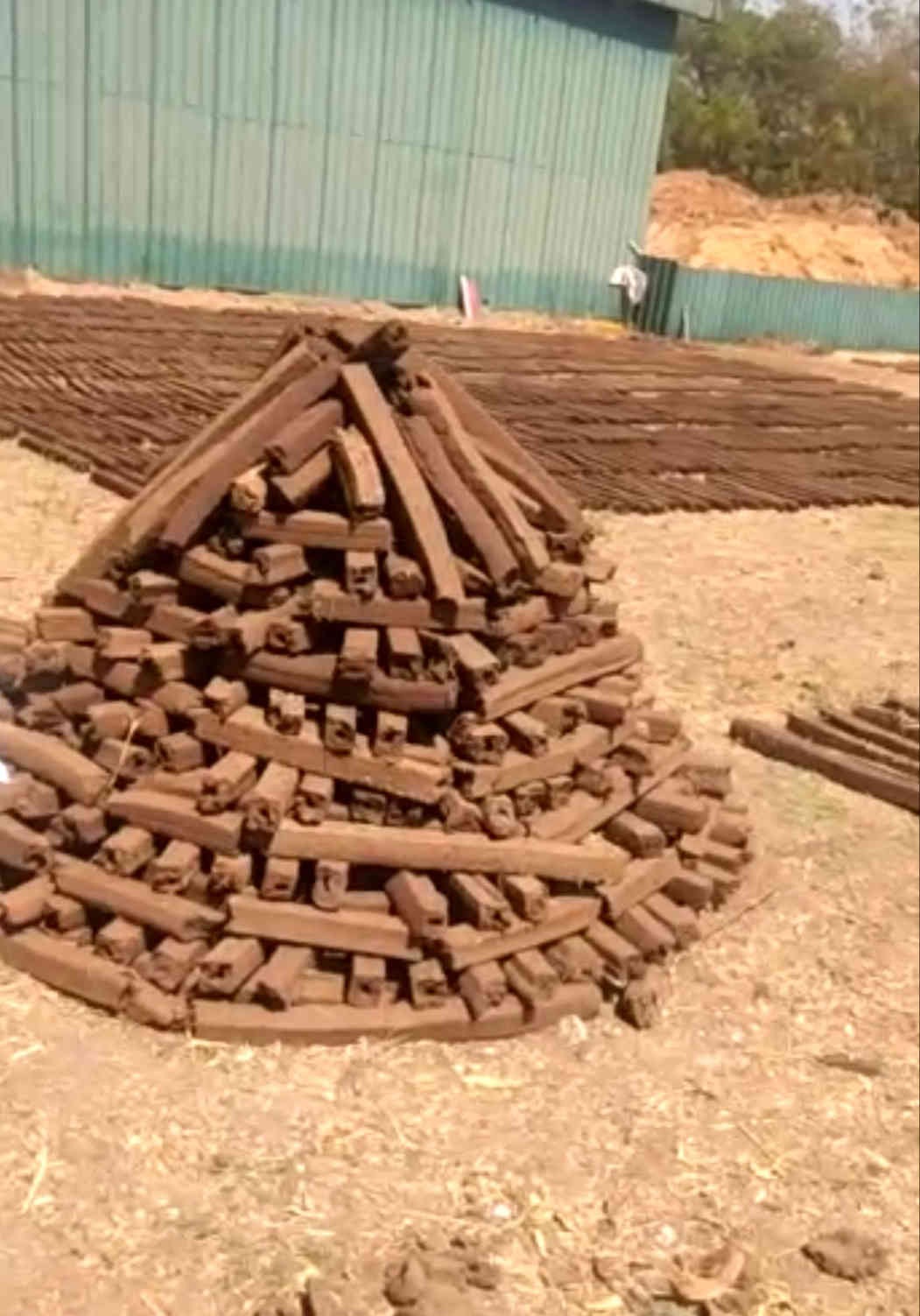 160 congregations in Anand district will light Vedic Holi and save 80 ...