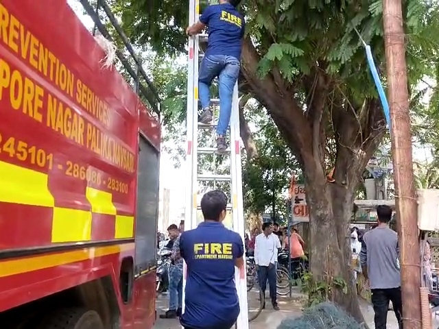 People coming to Kapiraj in Bapunagar area of Navsari were put in ...