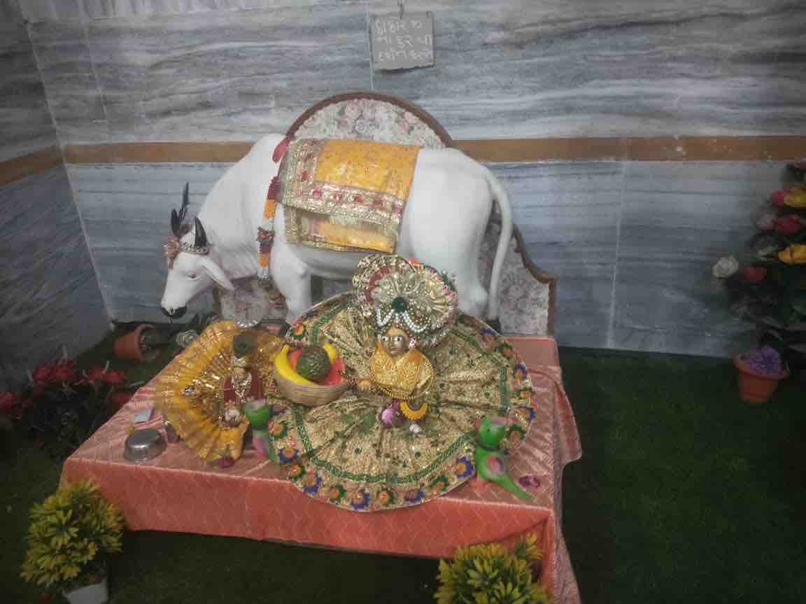 The entire staff of Madhav Public School visited the ancient Nareshwar ...