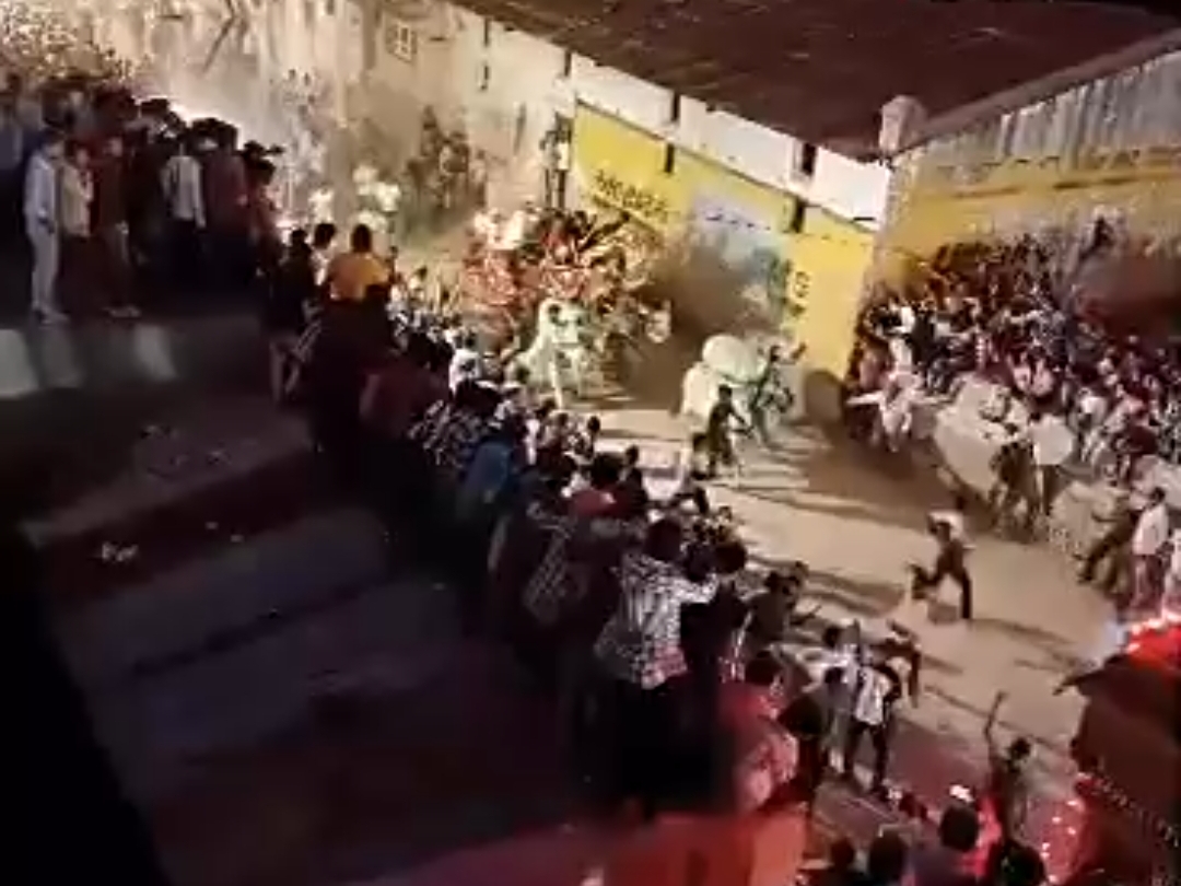 Valam village of Visnagar held a bull competition at a speed of 60 to ...